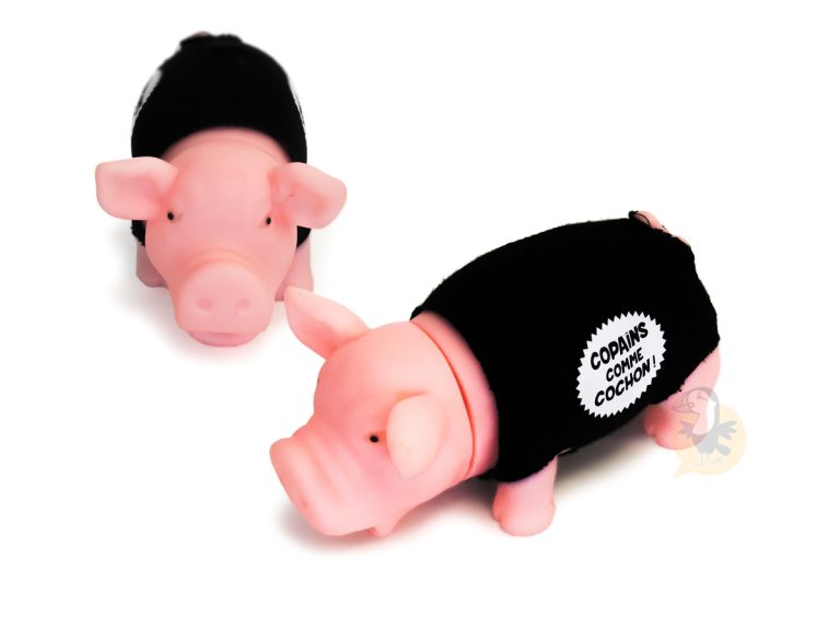 ⇒ Jouet cochon breton pour chien "Doggy Breizh"